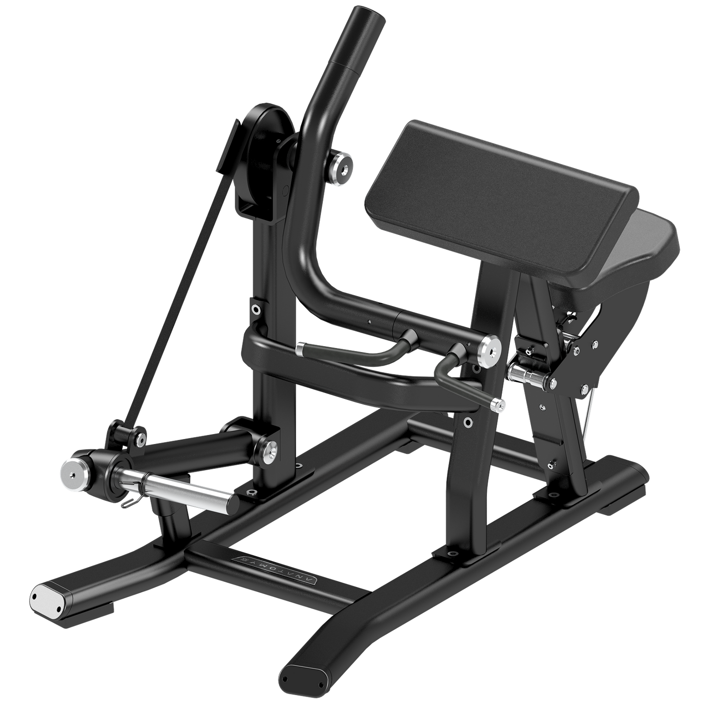 Anatomy Plate Loaded Bicep Curl – Garner Fitness Supplies UAE