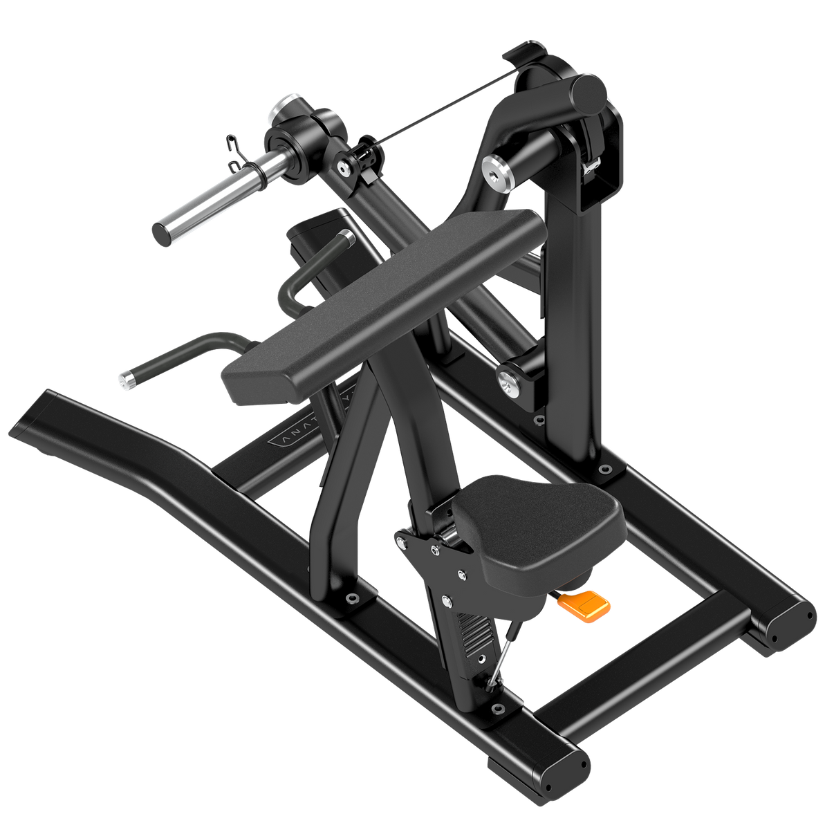 Anatomy Plate Loaded Bicep Curl – Garner Fitness Supplies UAE