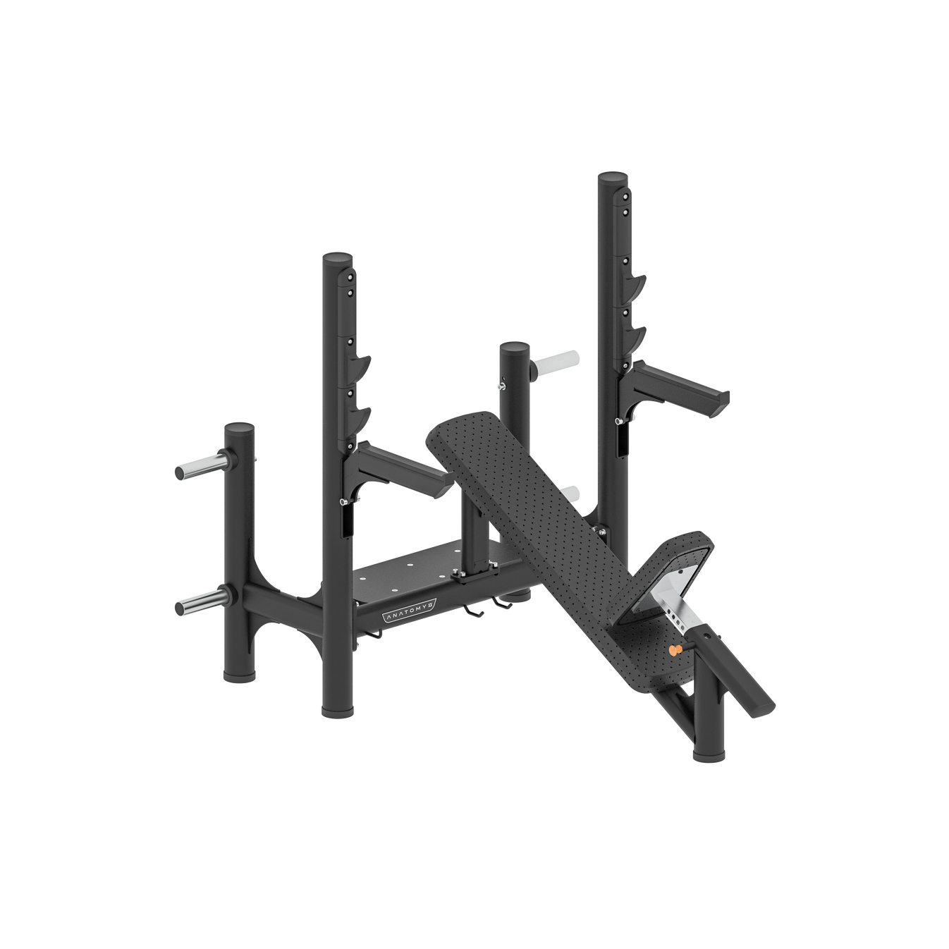 Anatomy Incline Olympic Bench – Garner Fitness Supplies UAE