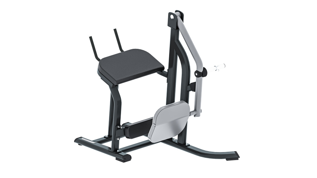 Anatomy Rear Kick – Garner Fitness Supplies