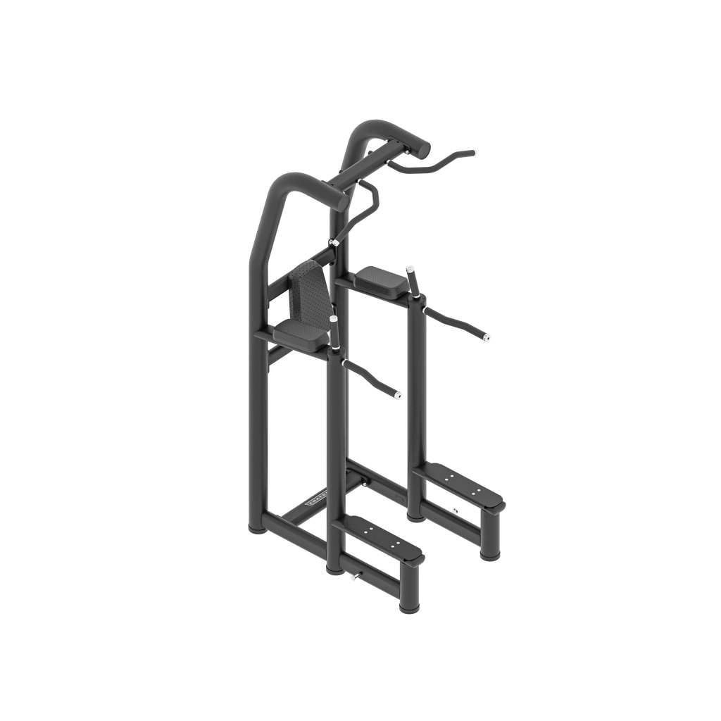 Anatomy Vertical Knee Raise\Dip – Garner Fitness Supplies UAE